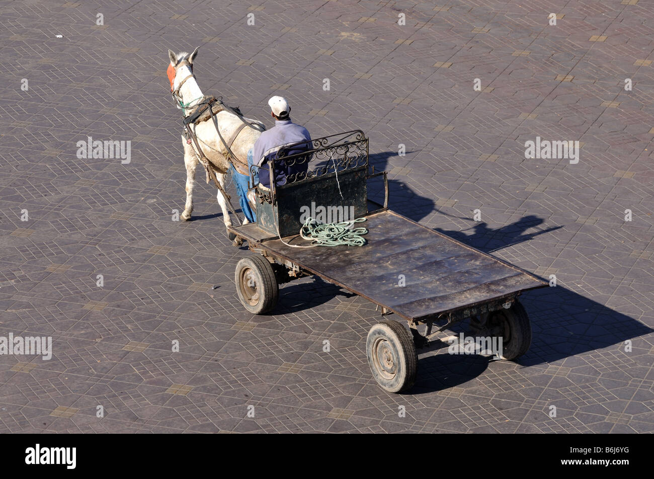 Mule and cart hi-res stock photography and images - Alamy