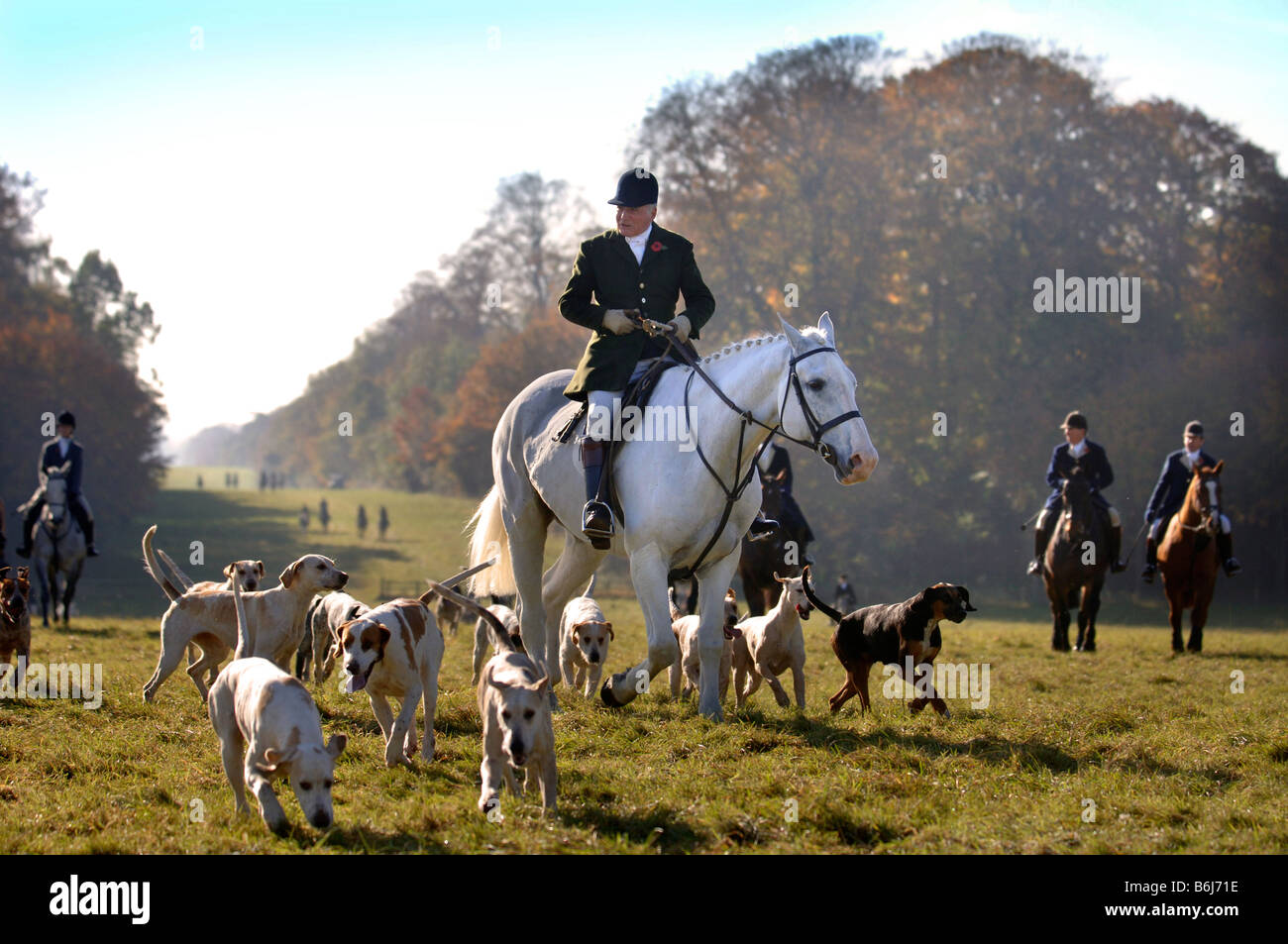 THE BEAUFORT HUNT LED BY JOINT MASTER CAPTAIN IAN FARQUHAR APPROACH A ...