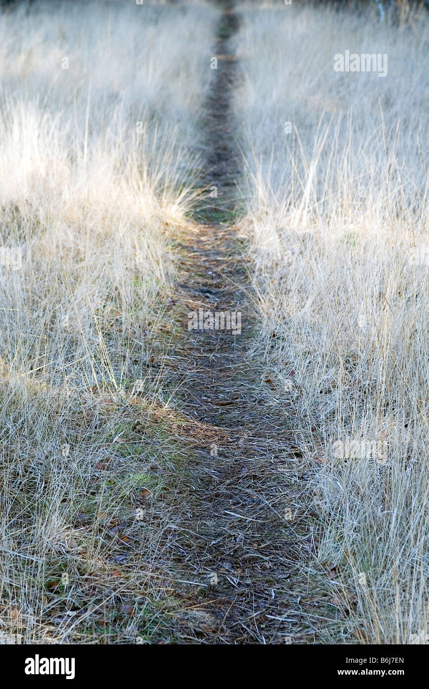 Trodden hi-res stock photography and images - Alamy