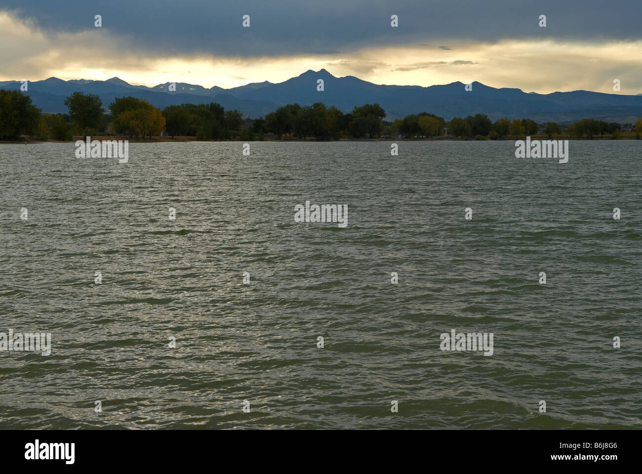 Treeline in the water hi-res stock photography and images - Alamy