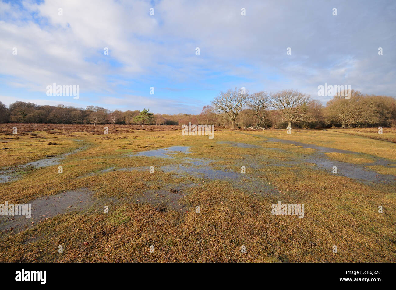 Open field hi-res stock photography and images - Alamy