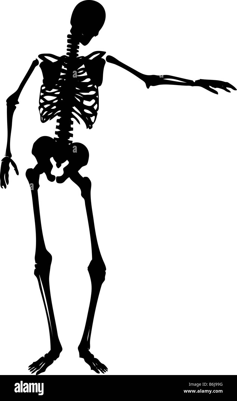 Silhouette of a skeleton Stock Photo - Alamy