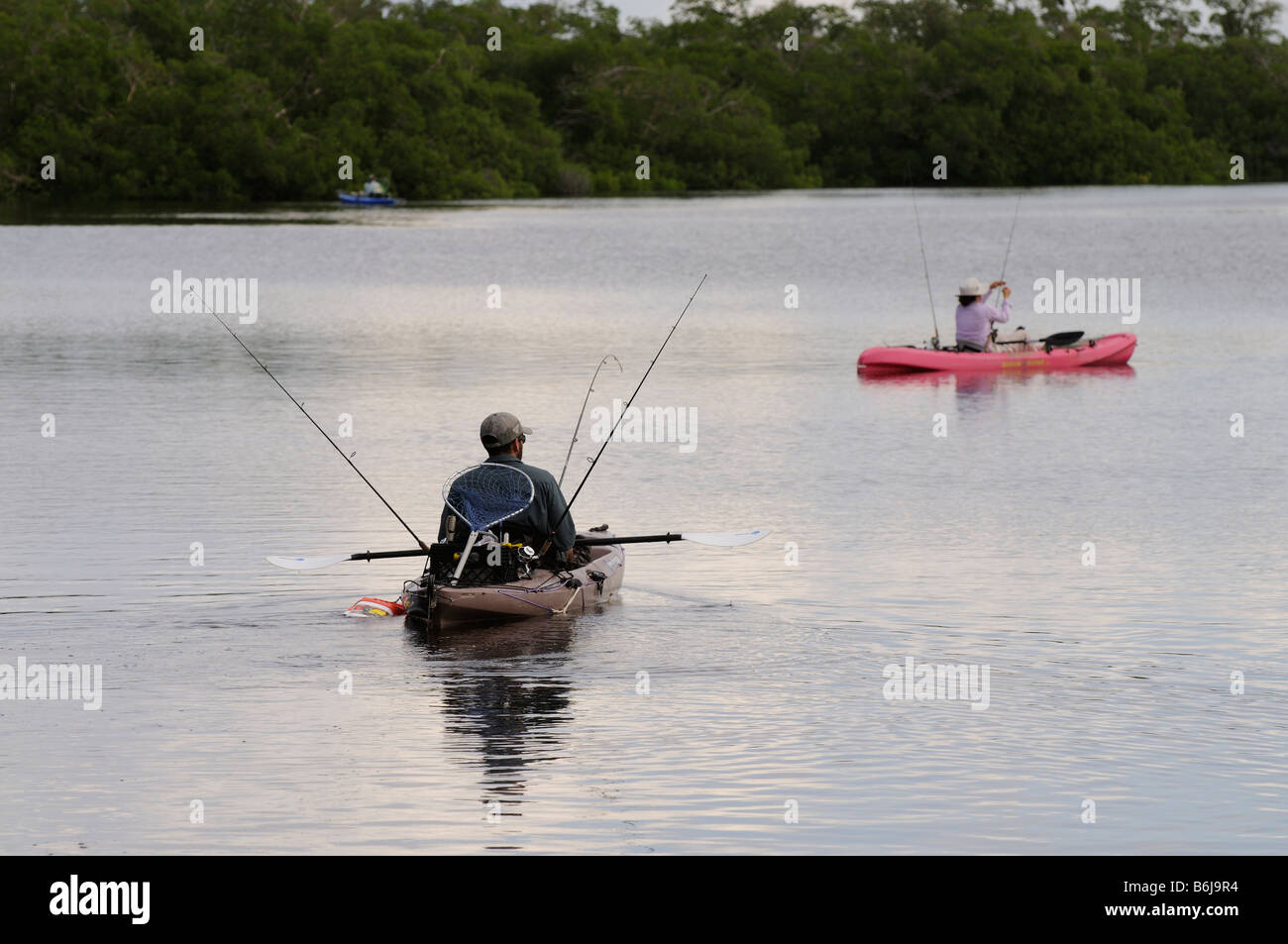 J N Ding Darling National Wildlife High Resolution Stock Photography ...