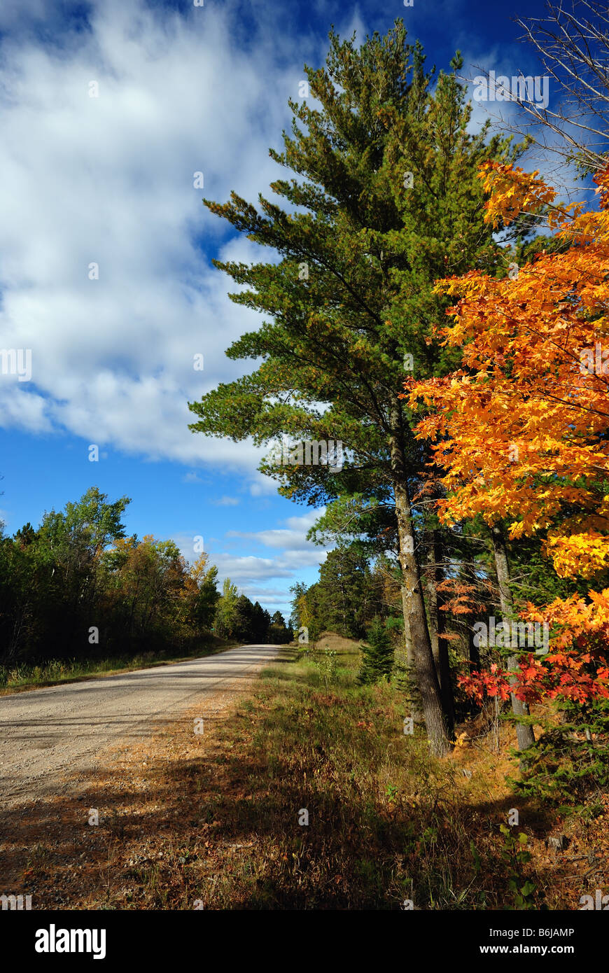Northwoods color hi-res stock photography and images - Alamy