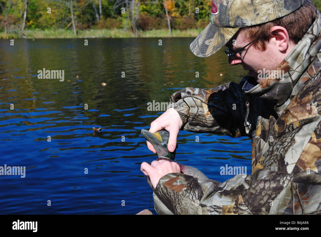 Young hunter retrieving a duck decoy Stock Photo - Alamy