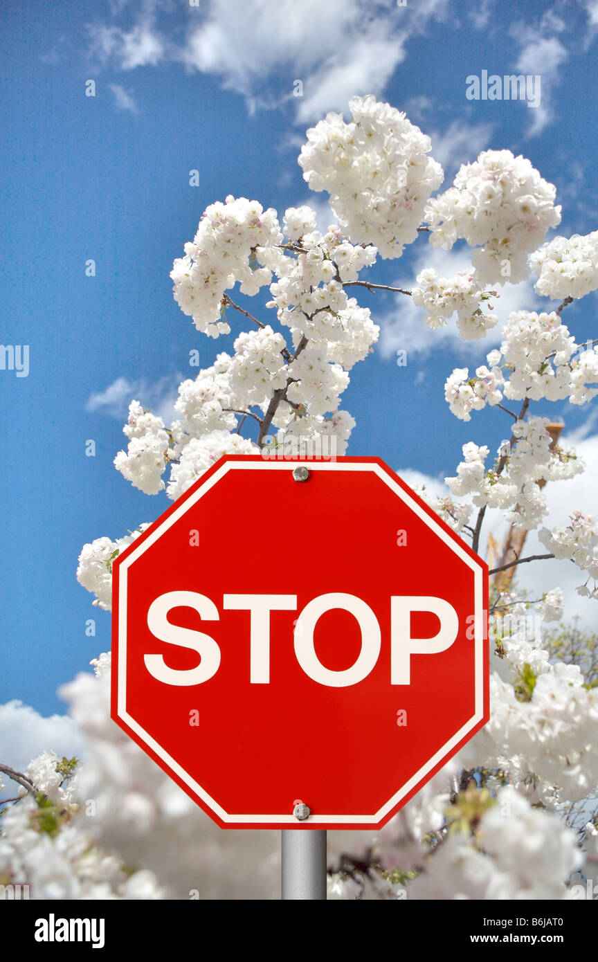 Flower stop sign Cut Out Stock Images & Pictures - Alamy