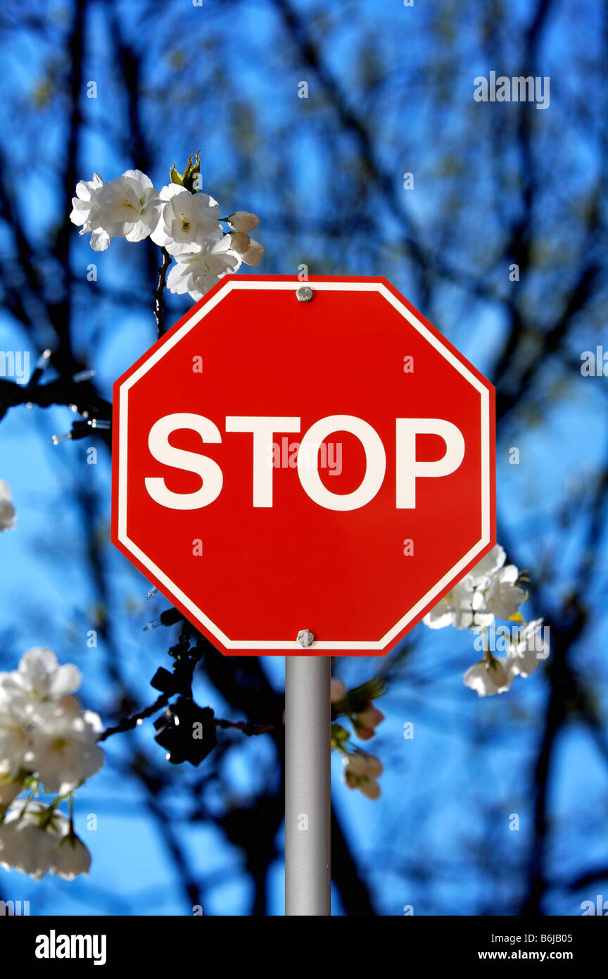 Stop sign on pole Cut Out Stock Images & Pictures - Alamy
