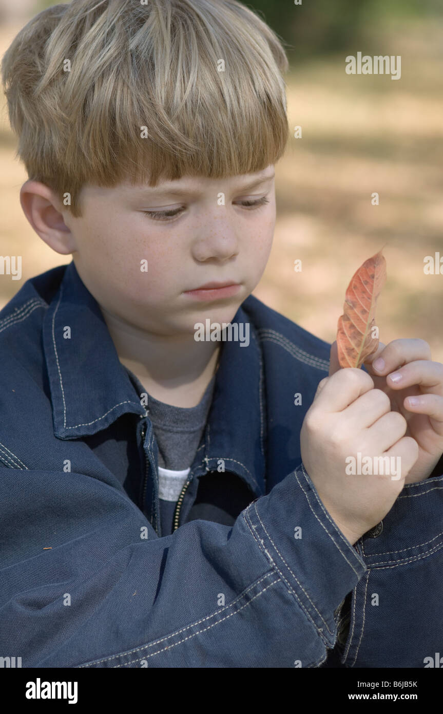 boy curiosity looking leaf nature study fall winter wonder child study ...
