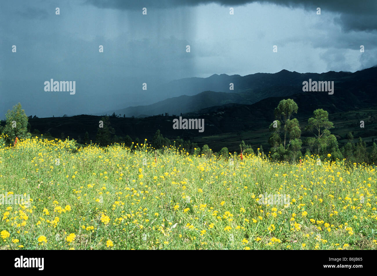 Lighting storm oil plant hi-res stock photography and images - Alamy