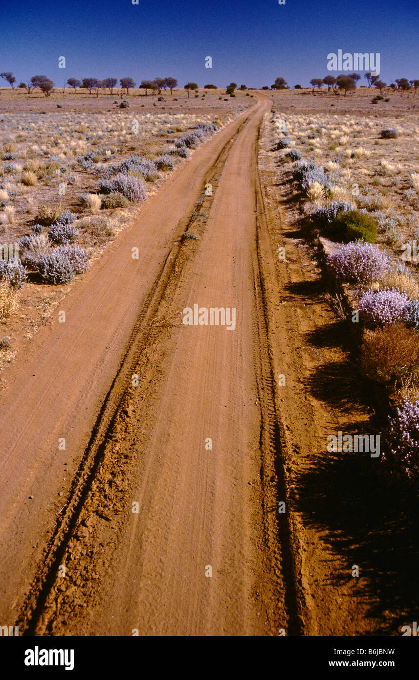 Track, outback Australia Stock Photo - Alamy