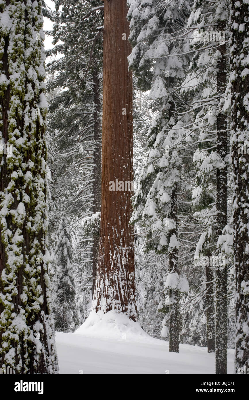 Grove crane hi-res stock photography and images - Alamy