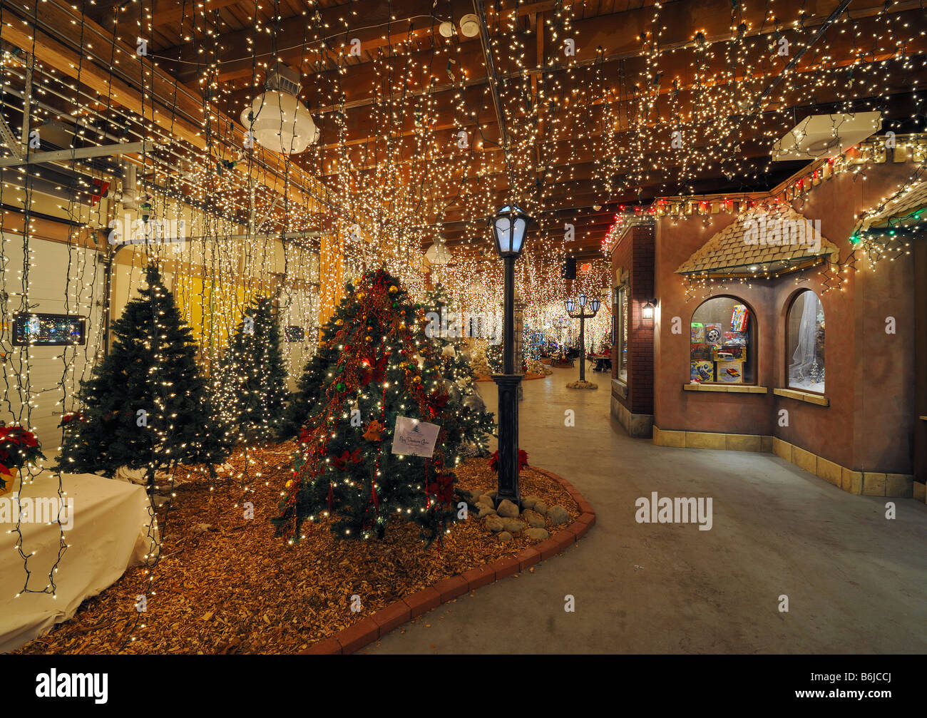 A spectacular display of lights and Christmas trees Stock Photo - Alamy