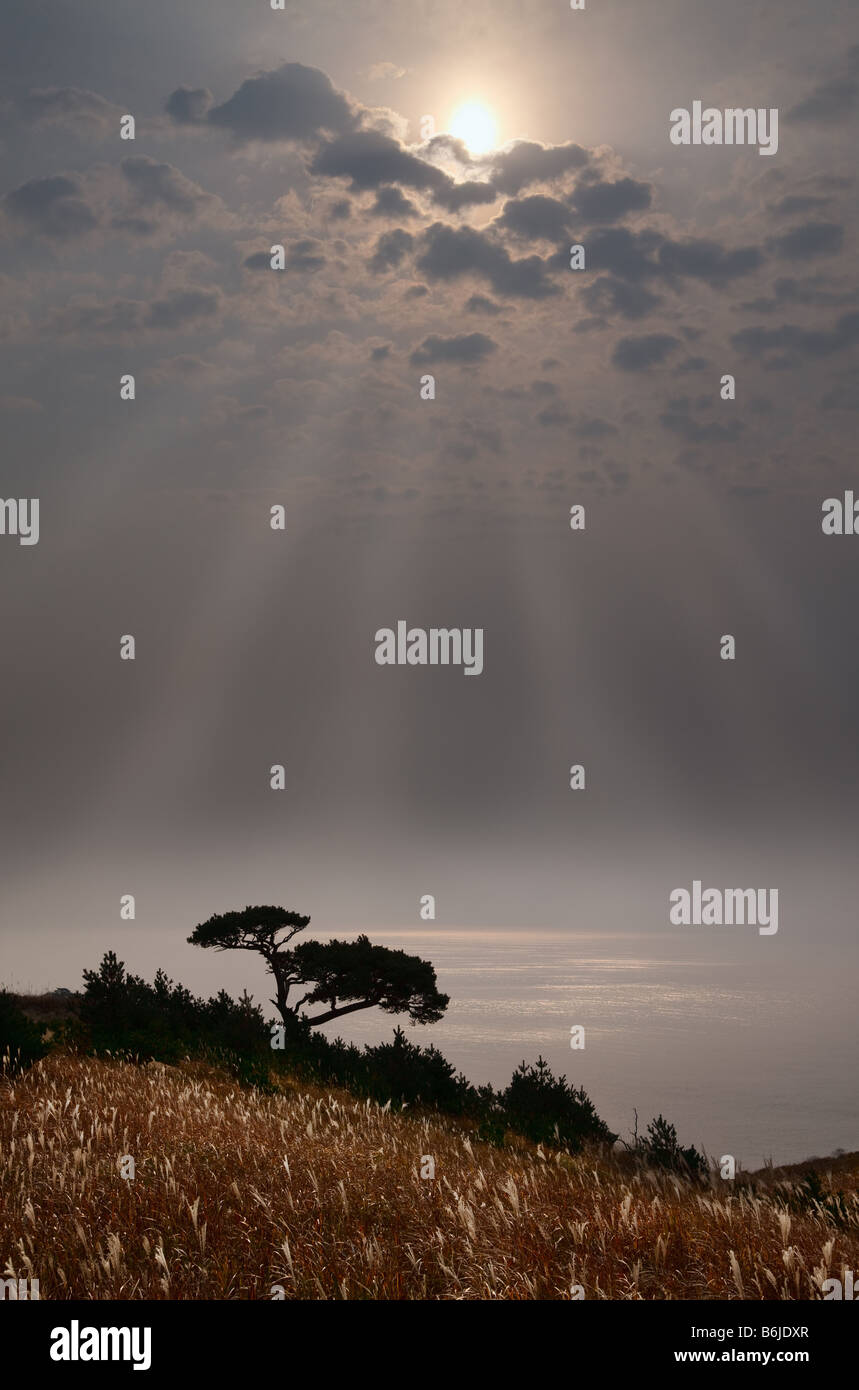 October sun hi-res stock photography and images - Alamy