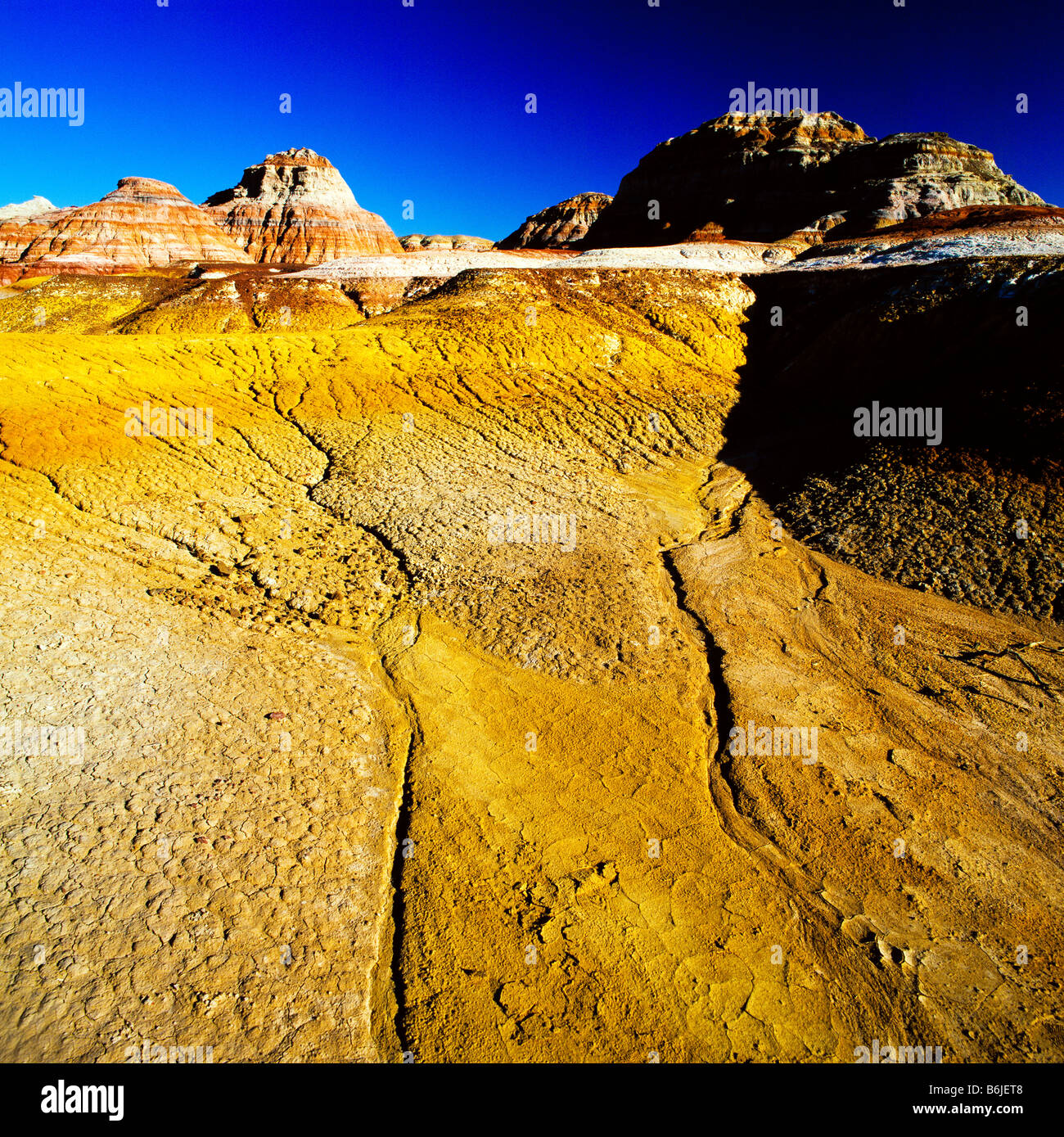 Wucai hi-res stock photography and images - Alamy