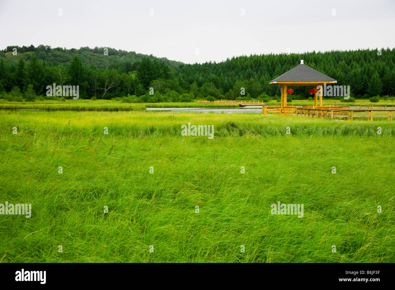 Bashang grassland hebei province china hi-res stock photography and ...