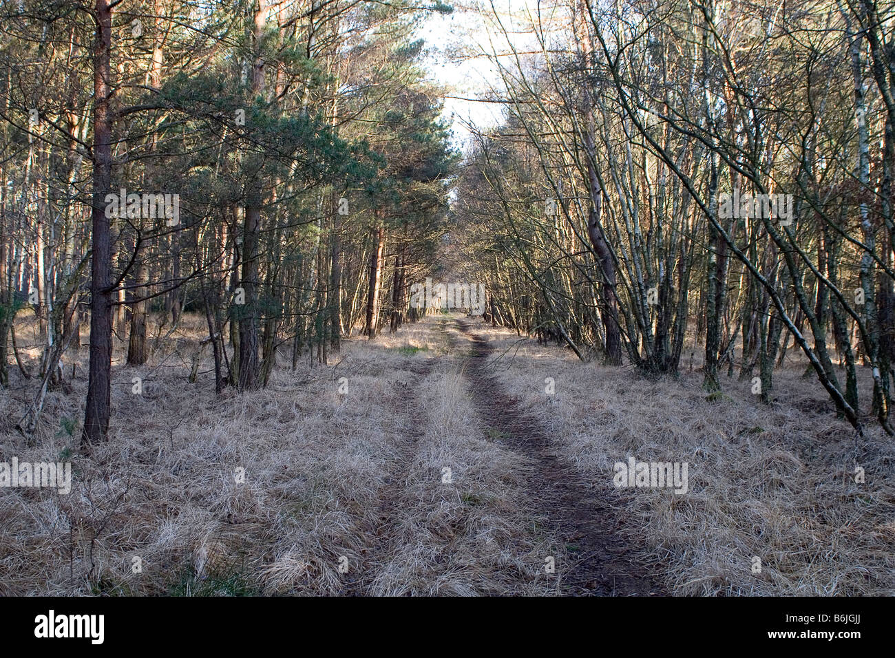 Well trodden path hi-res stock photography and images - Alamy