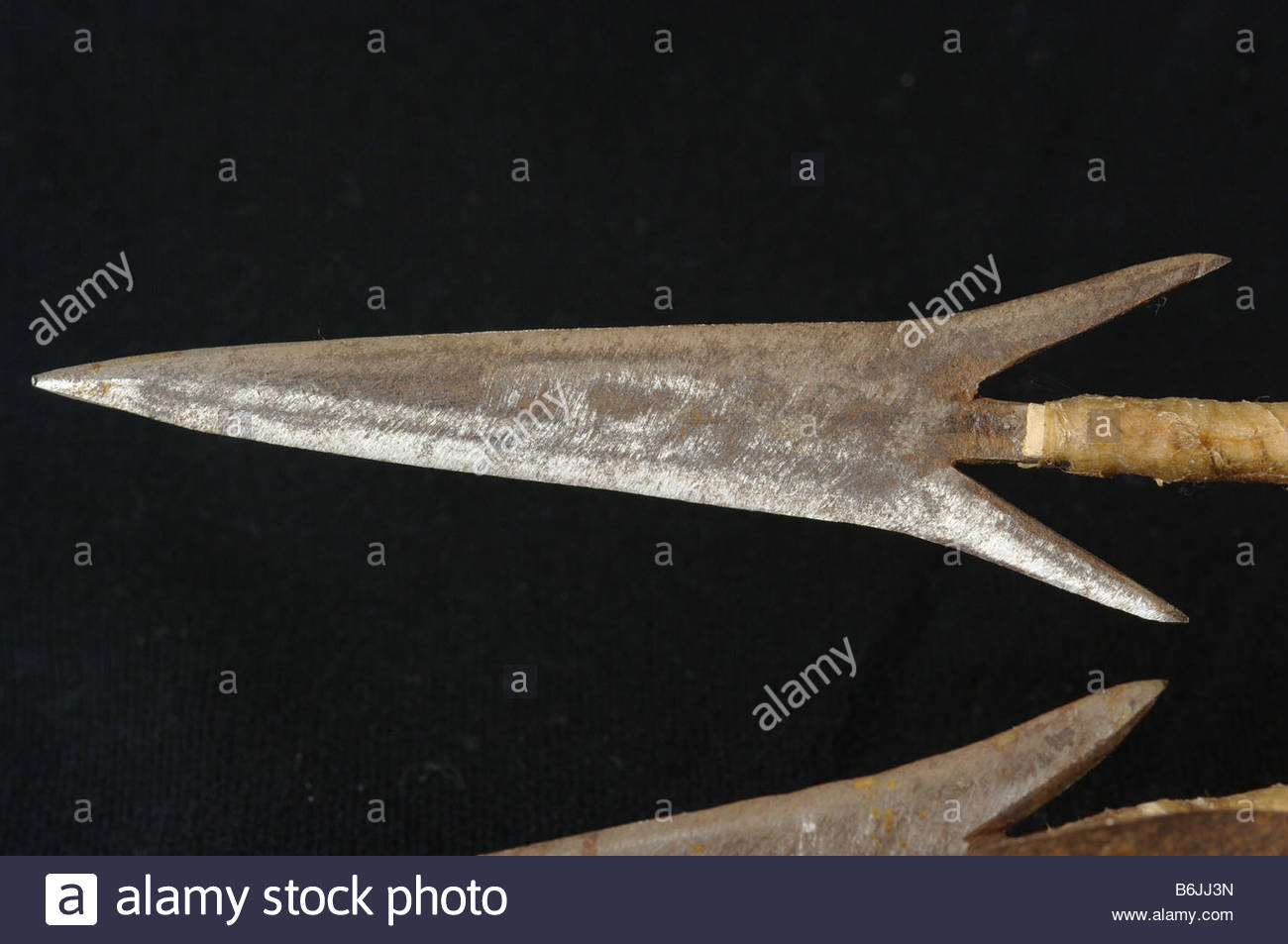 Poison Arrows Stock Photos & Poison Arrows Stock Images - Alamy