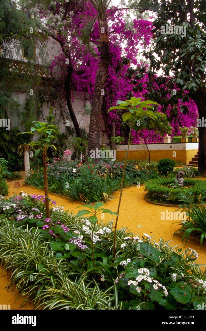 Morocco, Marrakech. Garden courtyard Stock Photo - Alamy