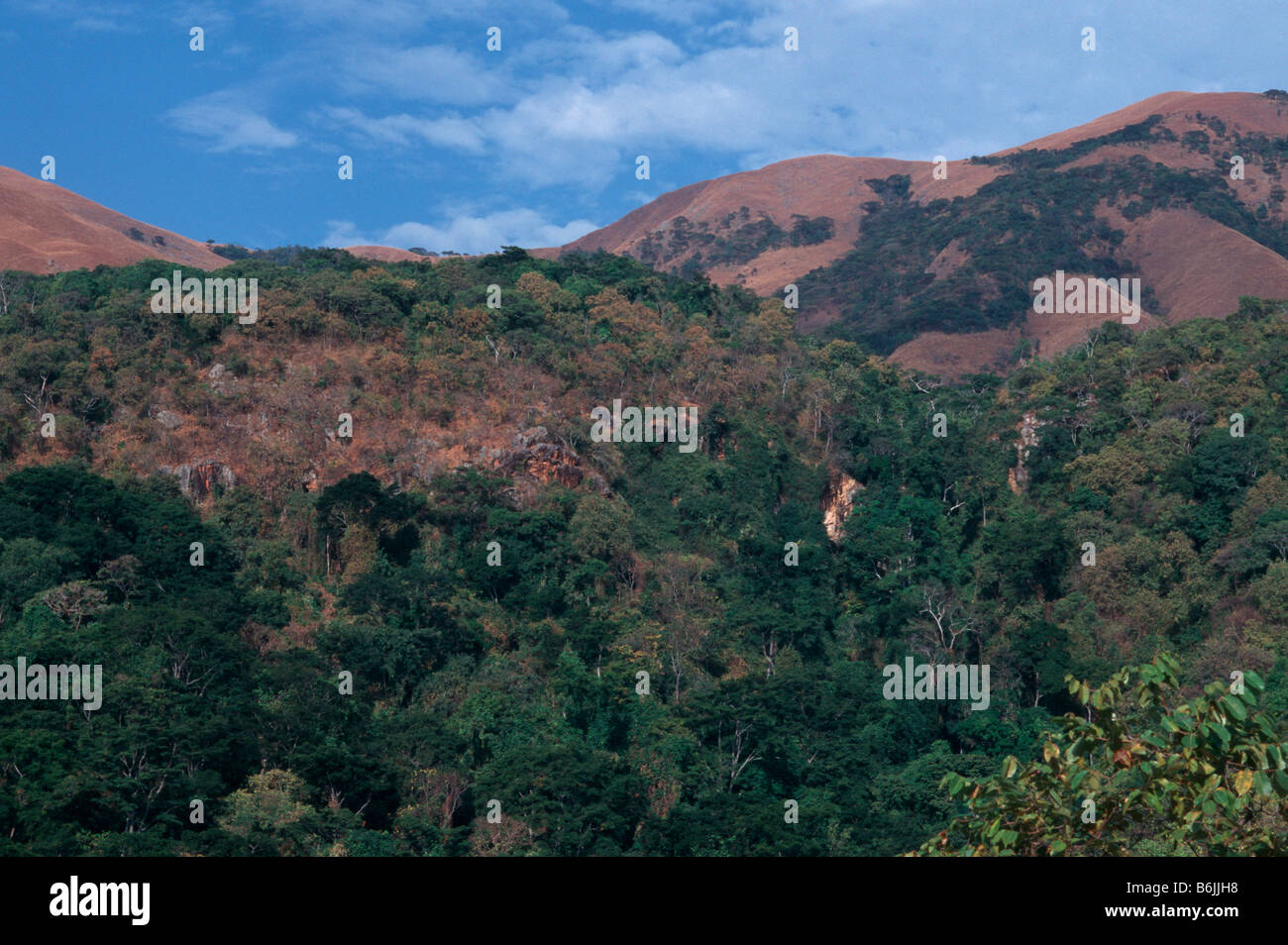 Gombe national park hi-res stock photography and images - Alamy