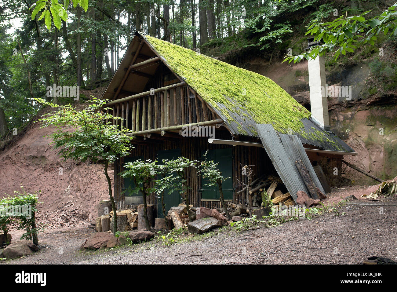 Wooden hut forest hi-res stock photography and images - Alamy