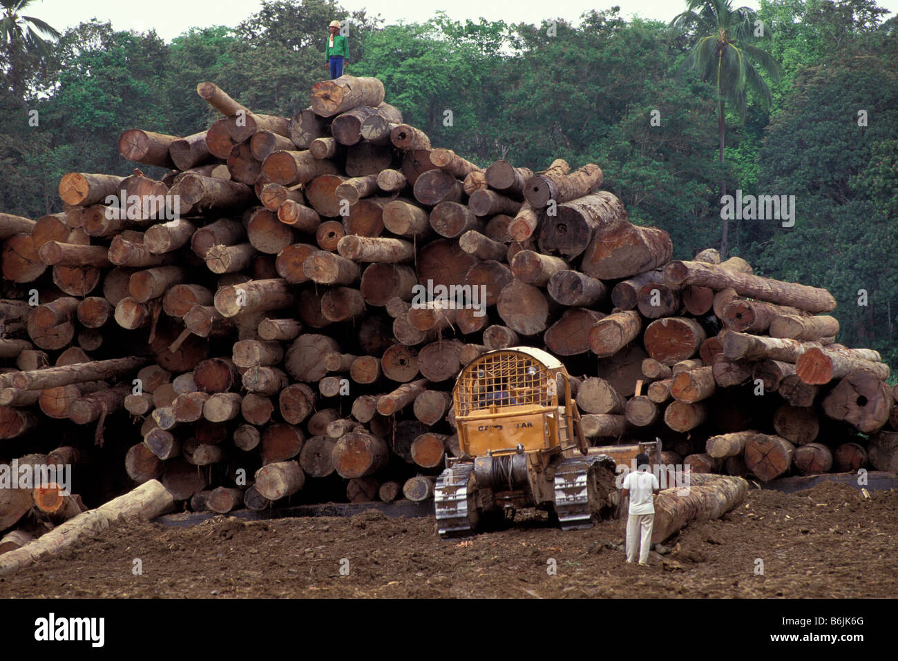 Logging deforestation borneo malaysia hi-res stock photography and ...