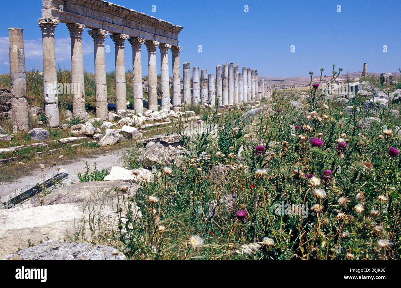 Syria, Apamea, Roman Ruins Stock Photo - Alamy