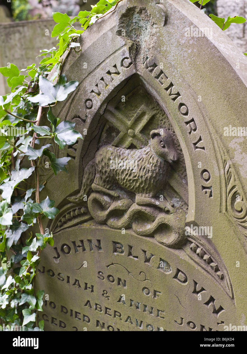 Grave lamb hi-res stock photography and images - Alamy