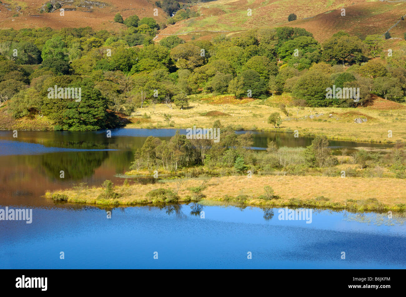 Loch Trool, Glen Trool, Dumfries & Galloway Stock Photo - Alamy