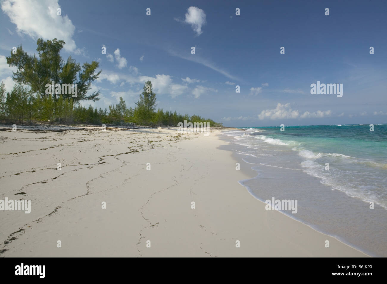 BAHAMAS, Abacos, Loyalist Cays, Green Turtle Cay, Long Bay: Beach View ...