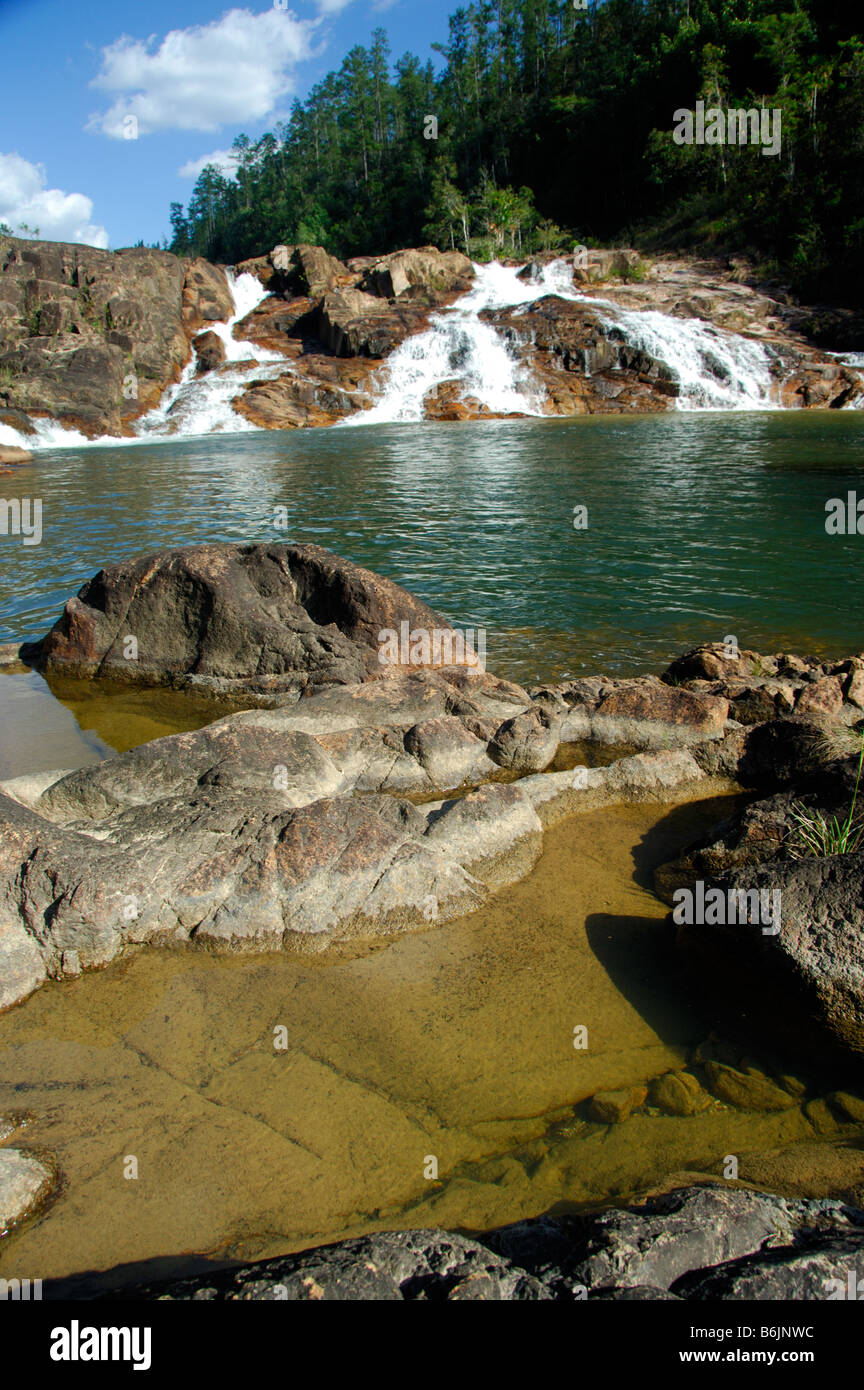 Central America, Belize, Mountain Pine Ridge Forest Reserve, San ...