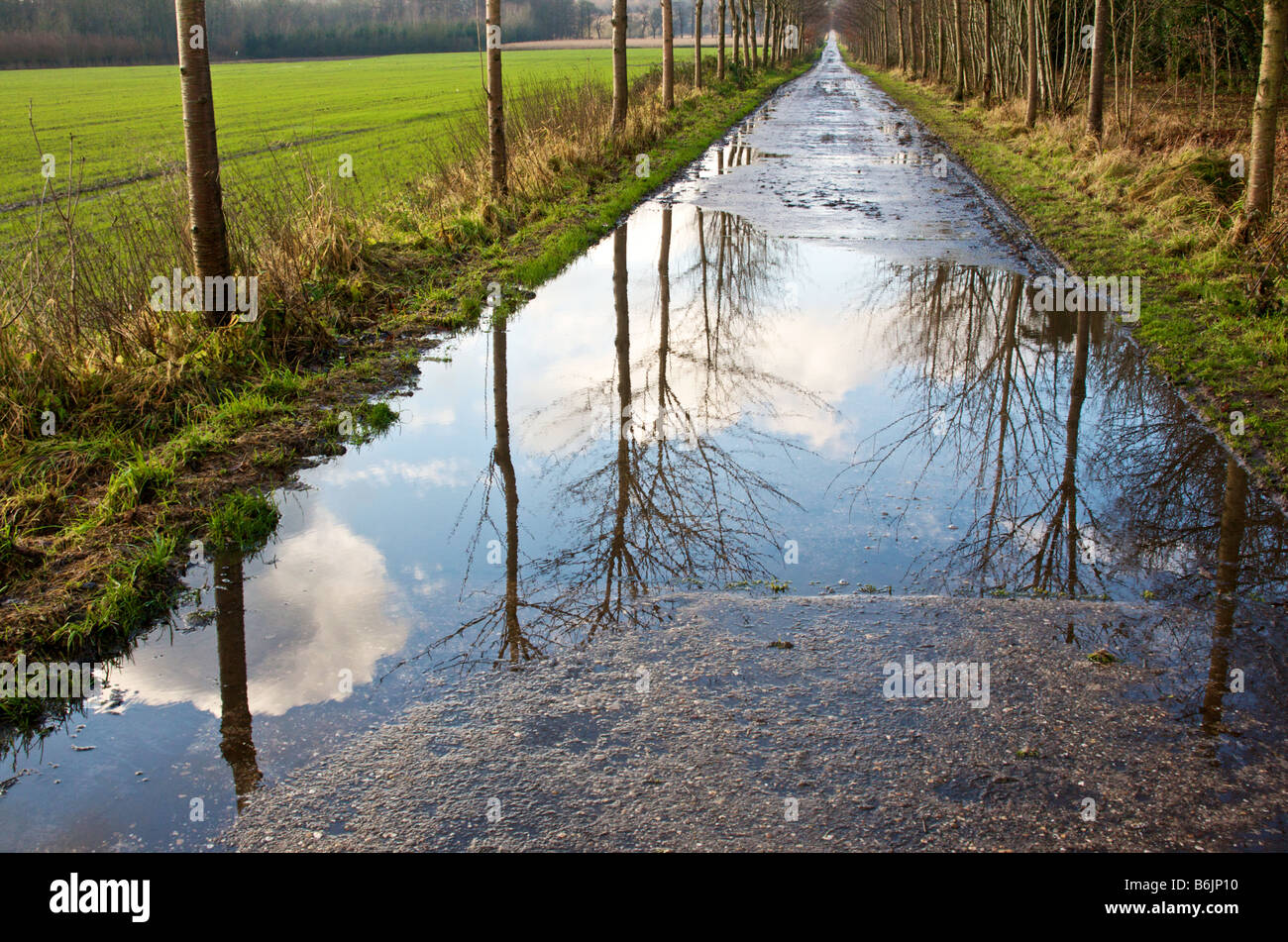 A puddle on a country road reflecting clouds and trees Stock Photo - Alamy