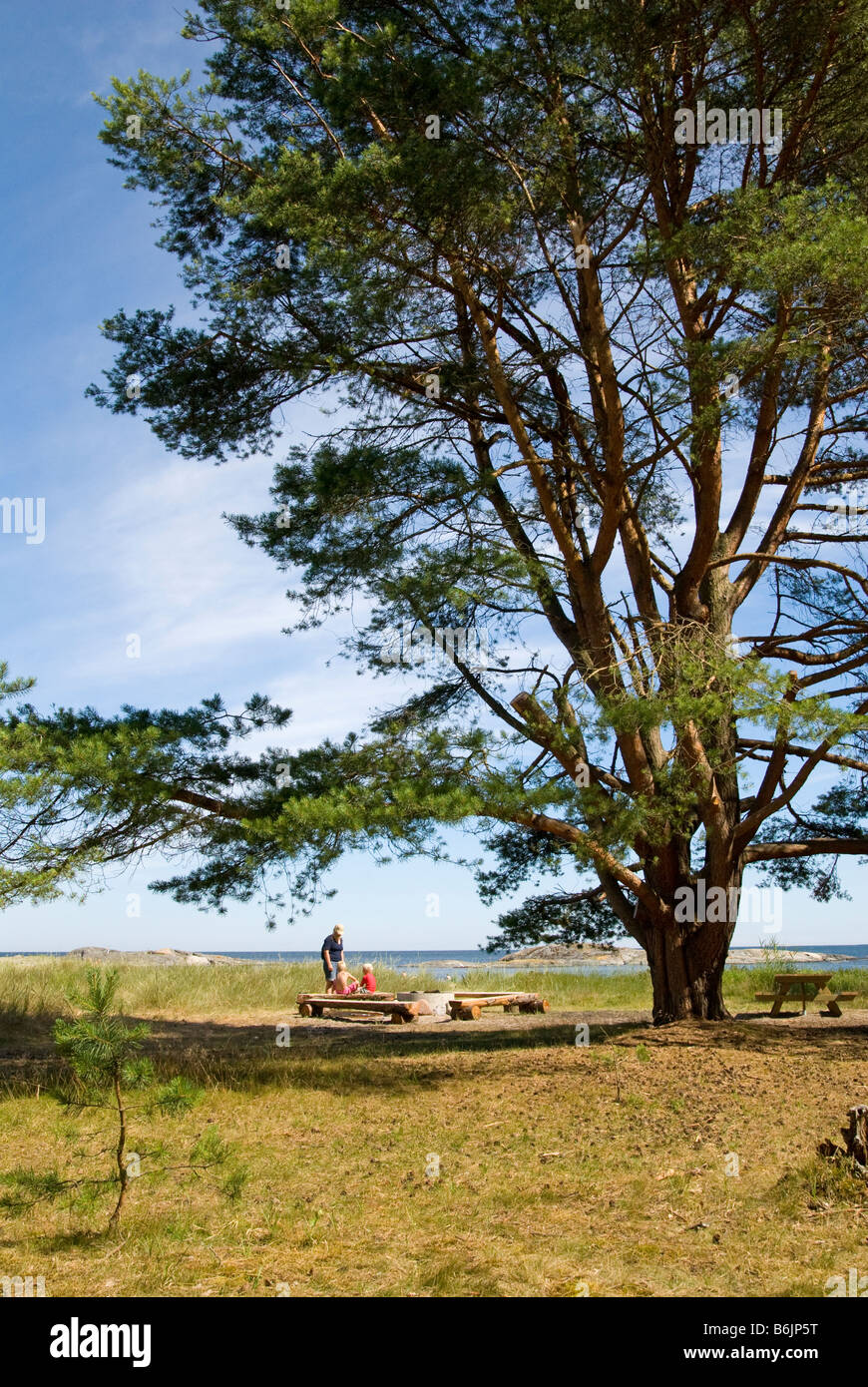 barbecue place under a tree at the sea Stock Photo - Alamy