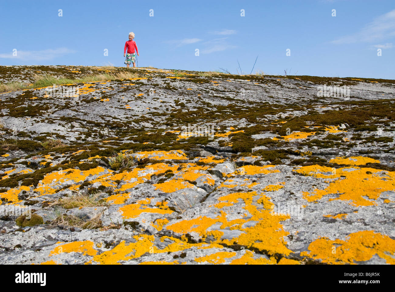 Cliff covered with yellow lichen and a young boy in red Stock Photo - Alamy