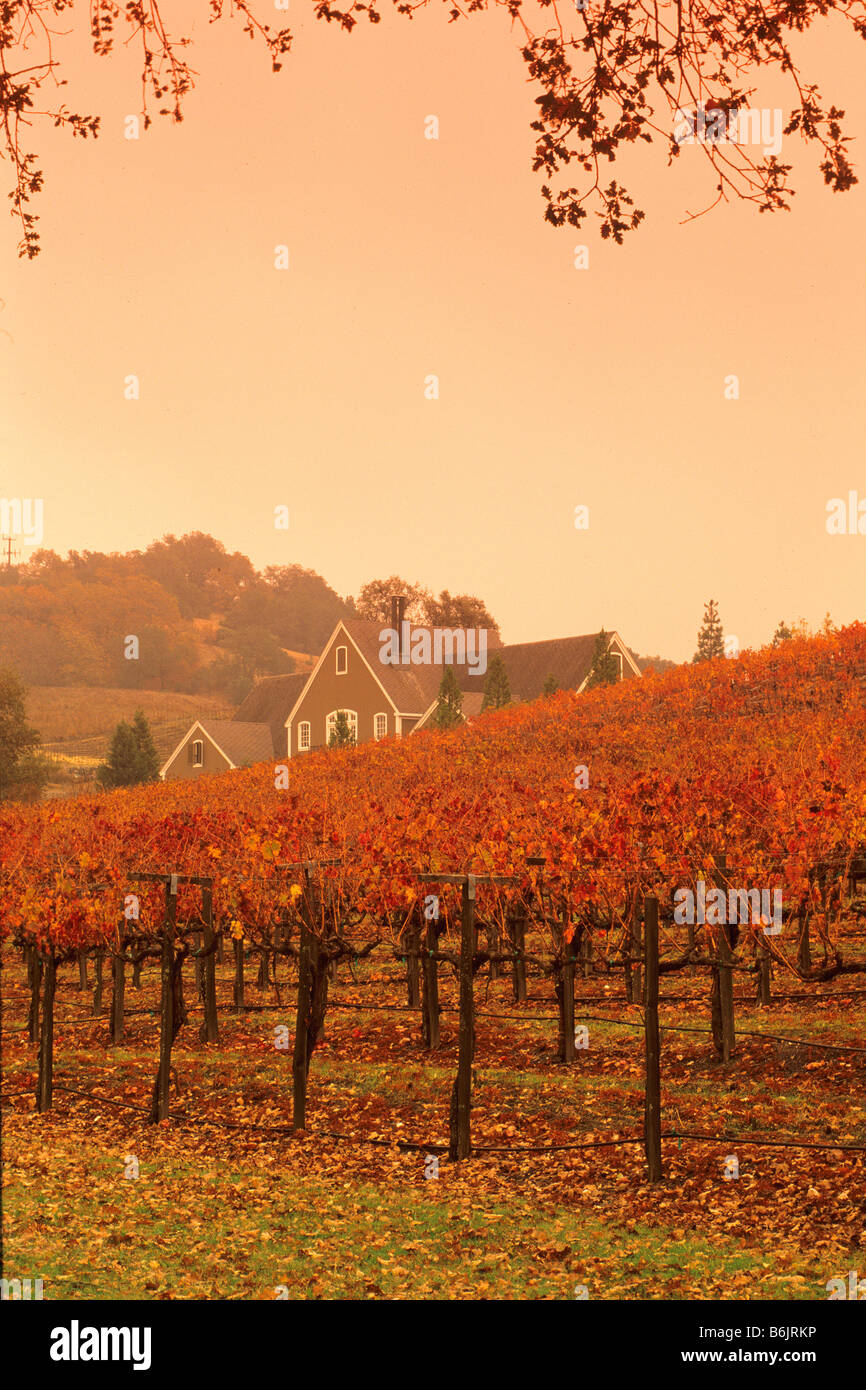 Silver oak cellars hi-res stock photography and images - Alamy