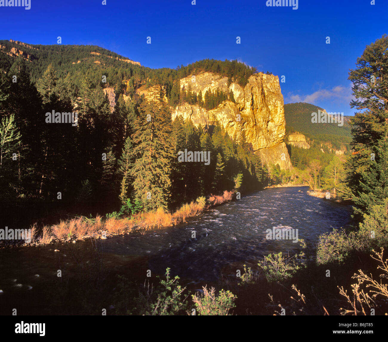 The Gallatin River near Bozeman Montana Stock Photo - Alamy