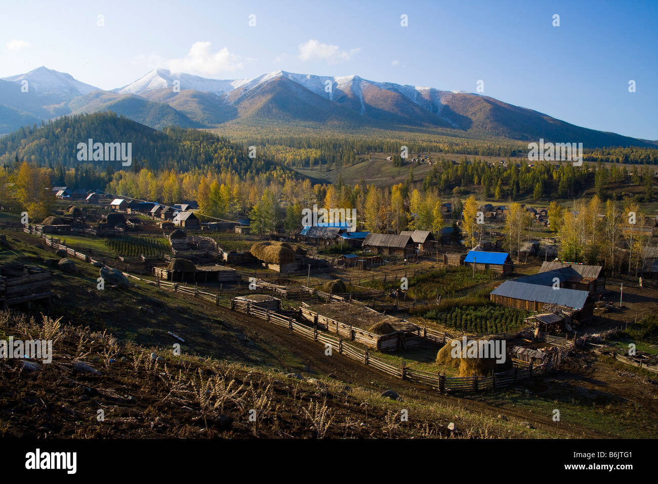 White haba hi-res stock photography and images - Alamy