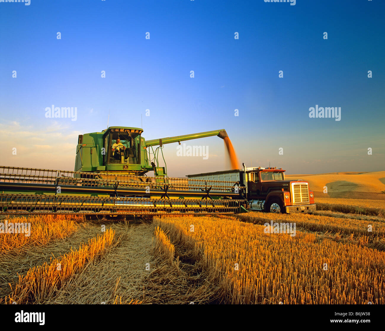 Unloading wheat from combine hi-res stock photography and images - Alamy