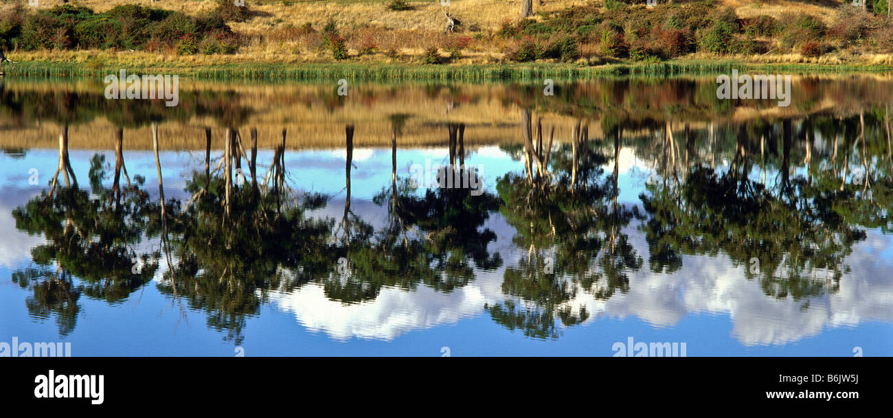 Reflections, Tasmania, Australia Stock Photo - Alamy