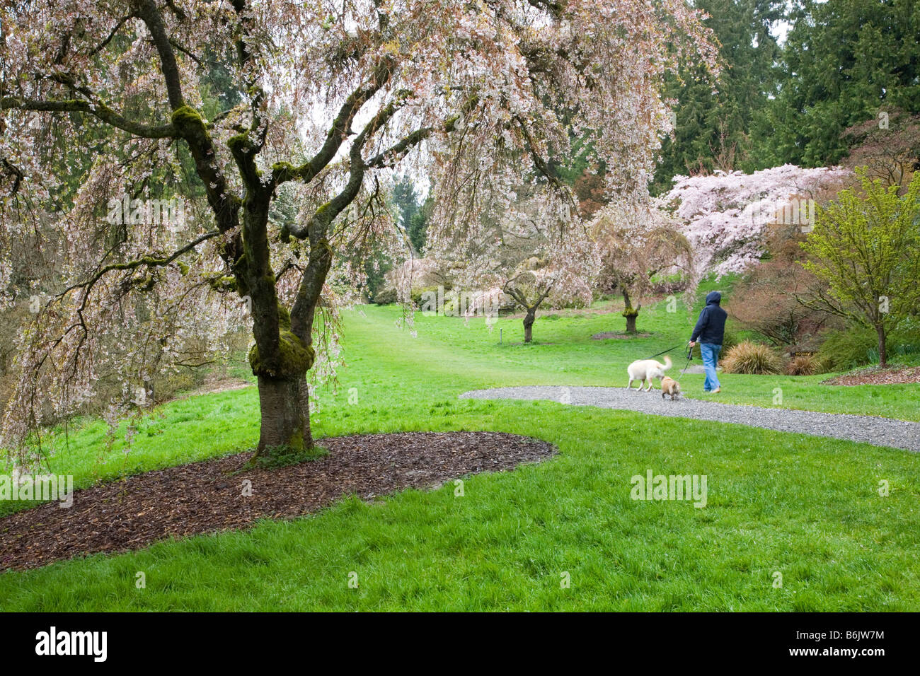 Wa seattle washington park arboretum hi-res stock photography and ...