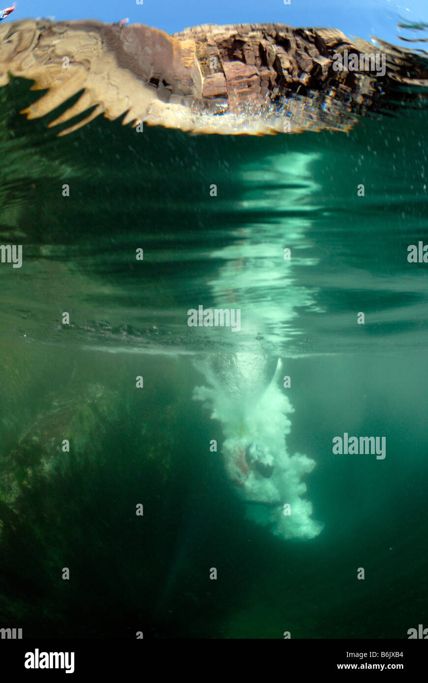 Coasteering st davids wales hi-res stock photography and images - Alamy