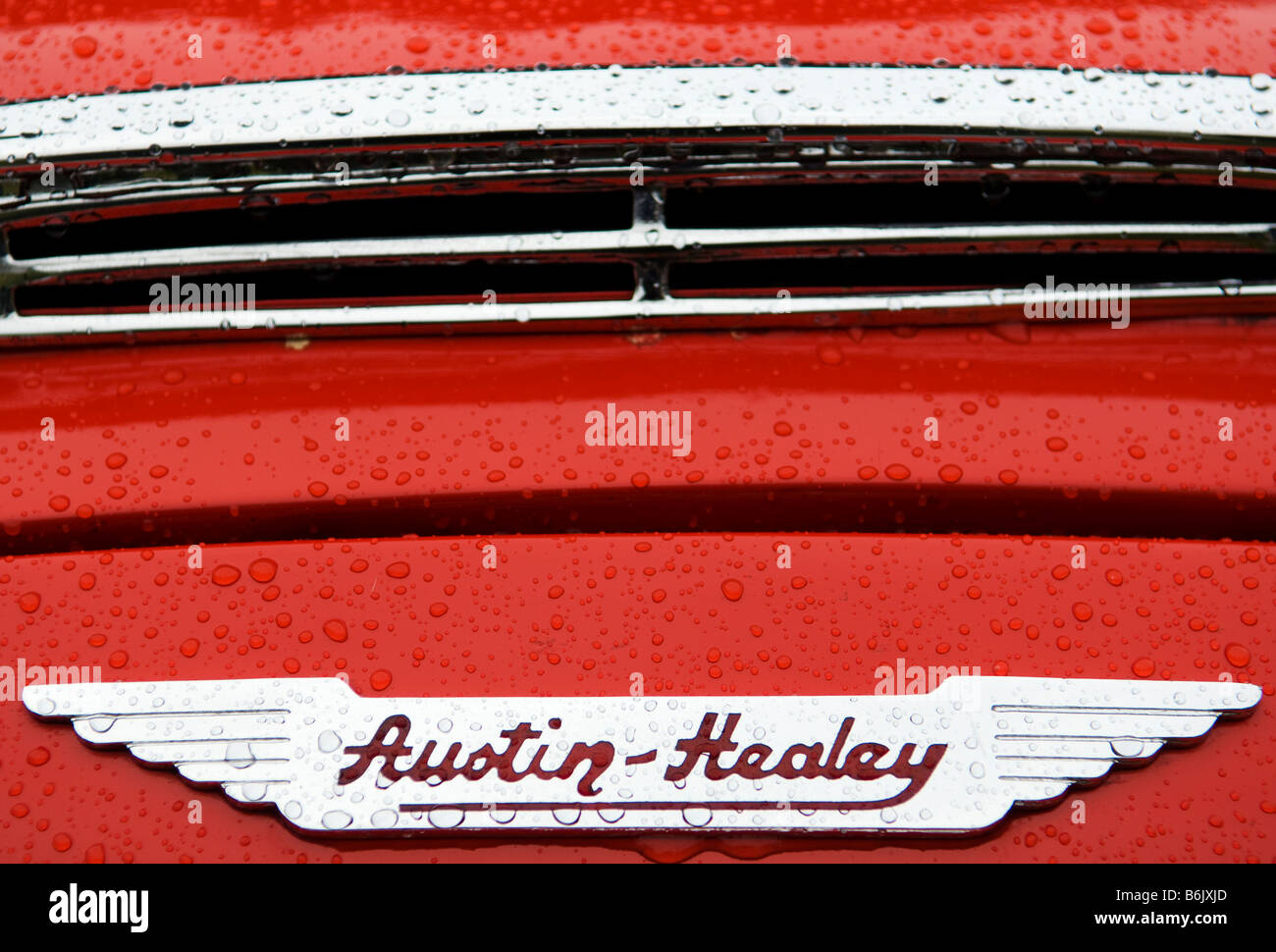 Austin Healey Logo High Resolution Stock Photography and Images - Alamy