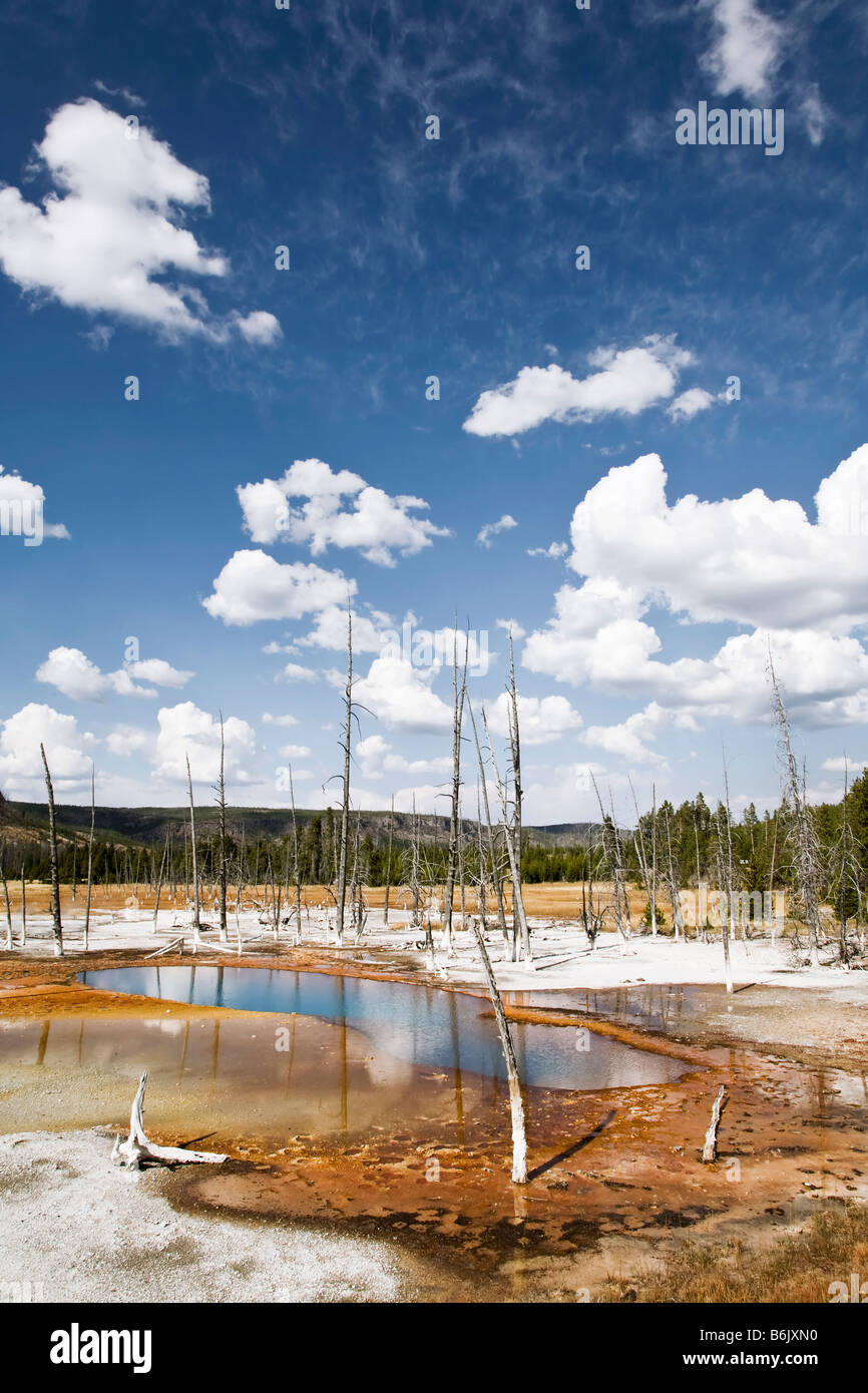 Bacterial pool hi-res stock photography and images - Alamy