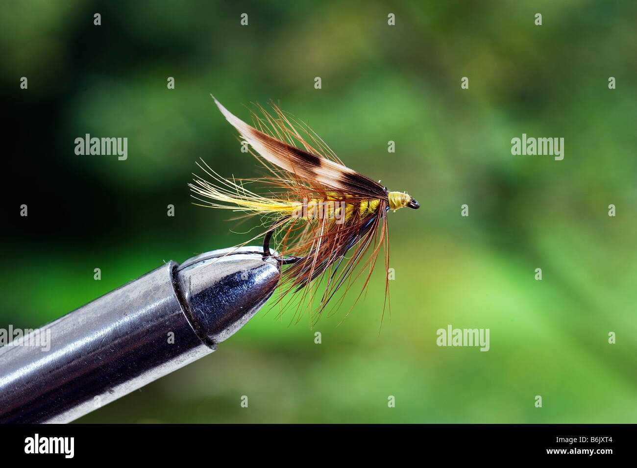 Nymph fishing hi-res stock photography and images - Alamy