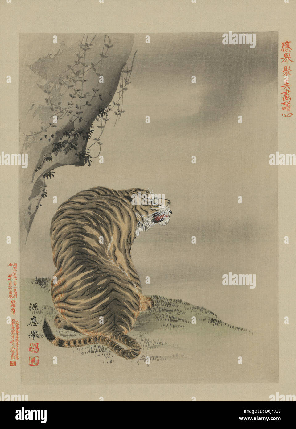 Japanese tiger hi-res stock photography and images - Alamy