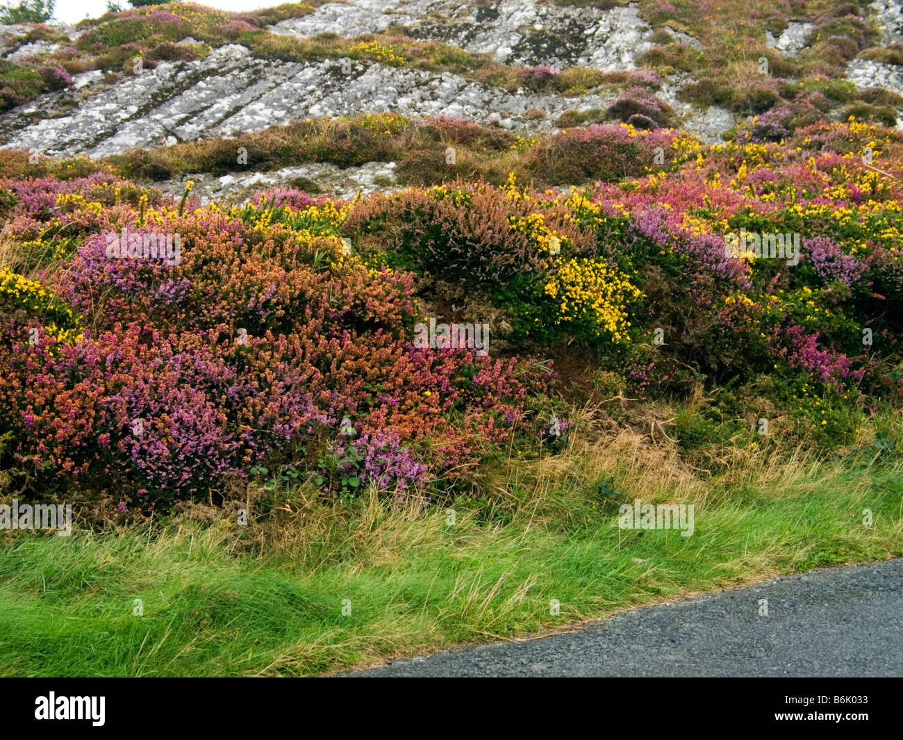 Old red sandstone ireland hi-res stock photography and images - Alamy