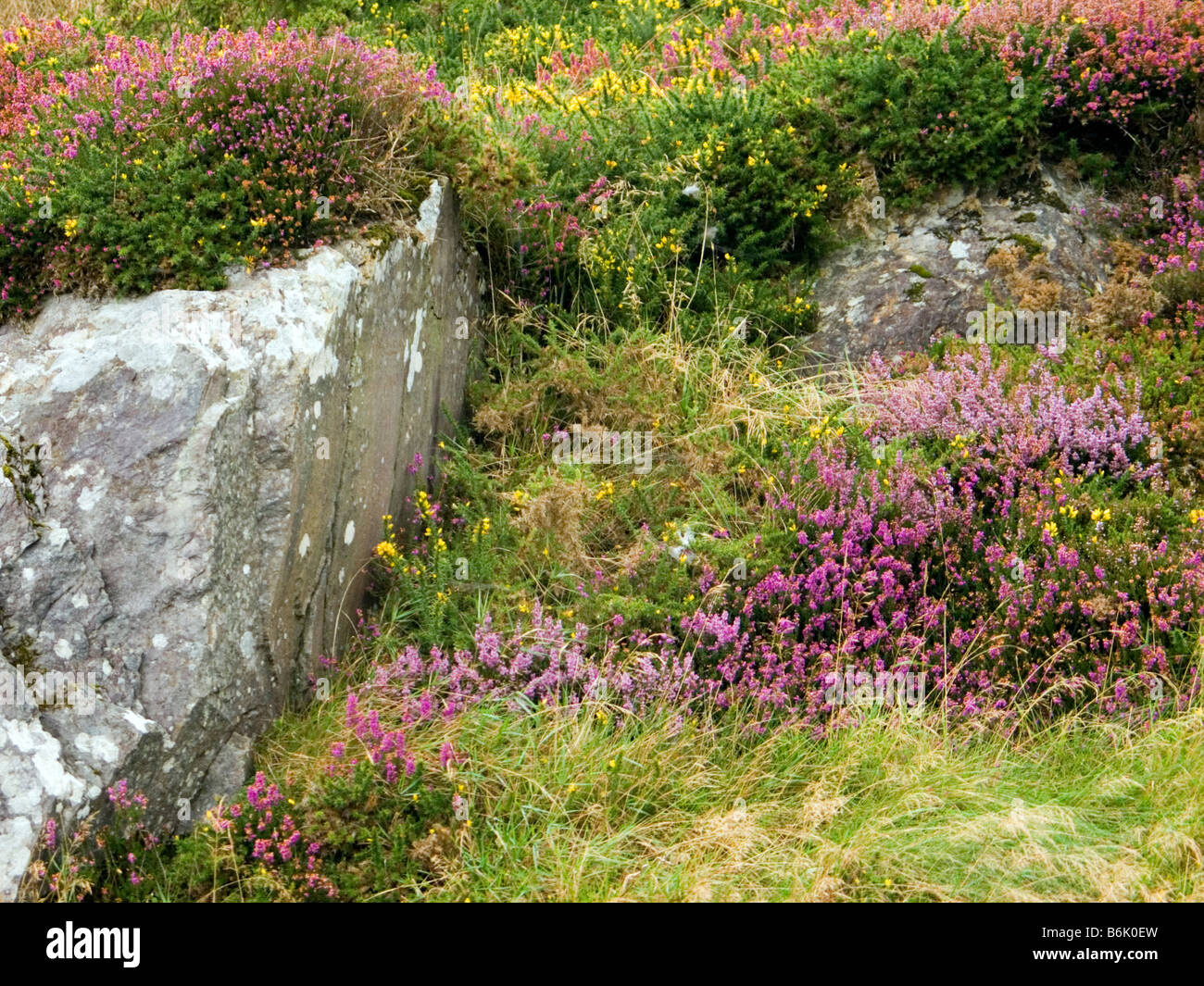Old red sandstone ireland hi-res stock photography and images - Alamy