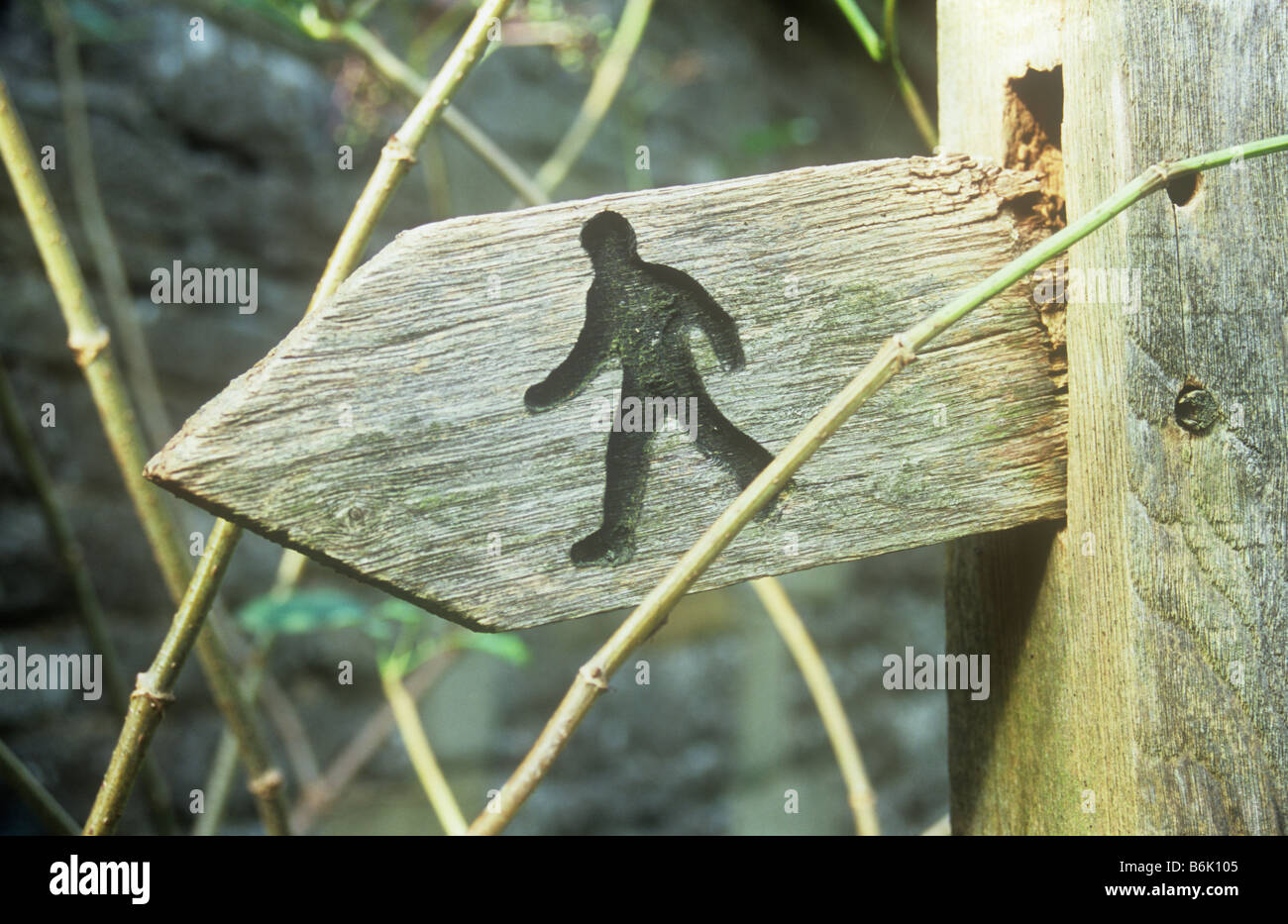 Rotten wooden pole hi-res stock photography and images - Alamy