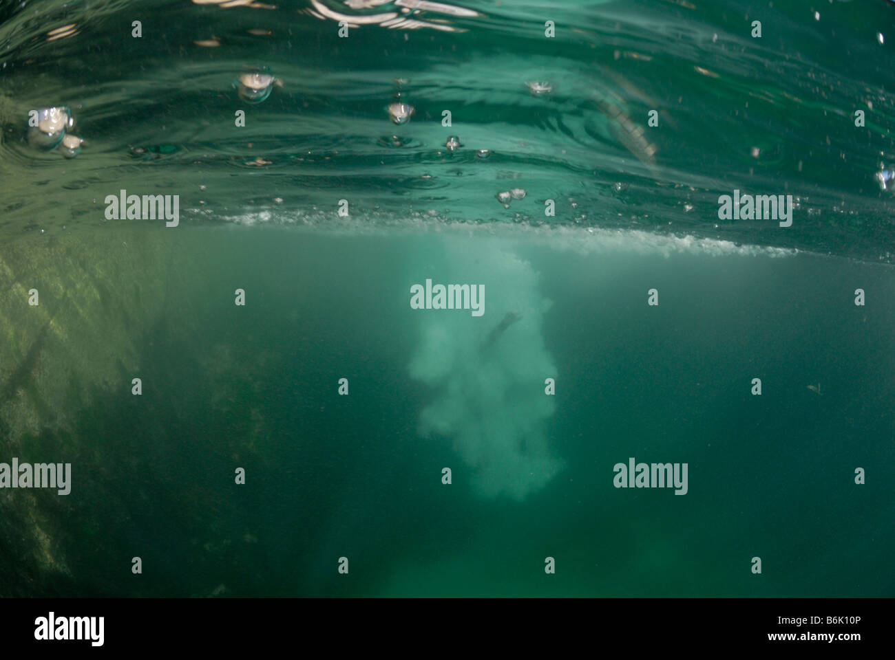 Coasteering st davids wales hi-res stock photography and images - Alamy