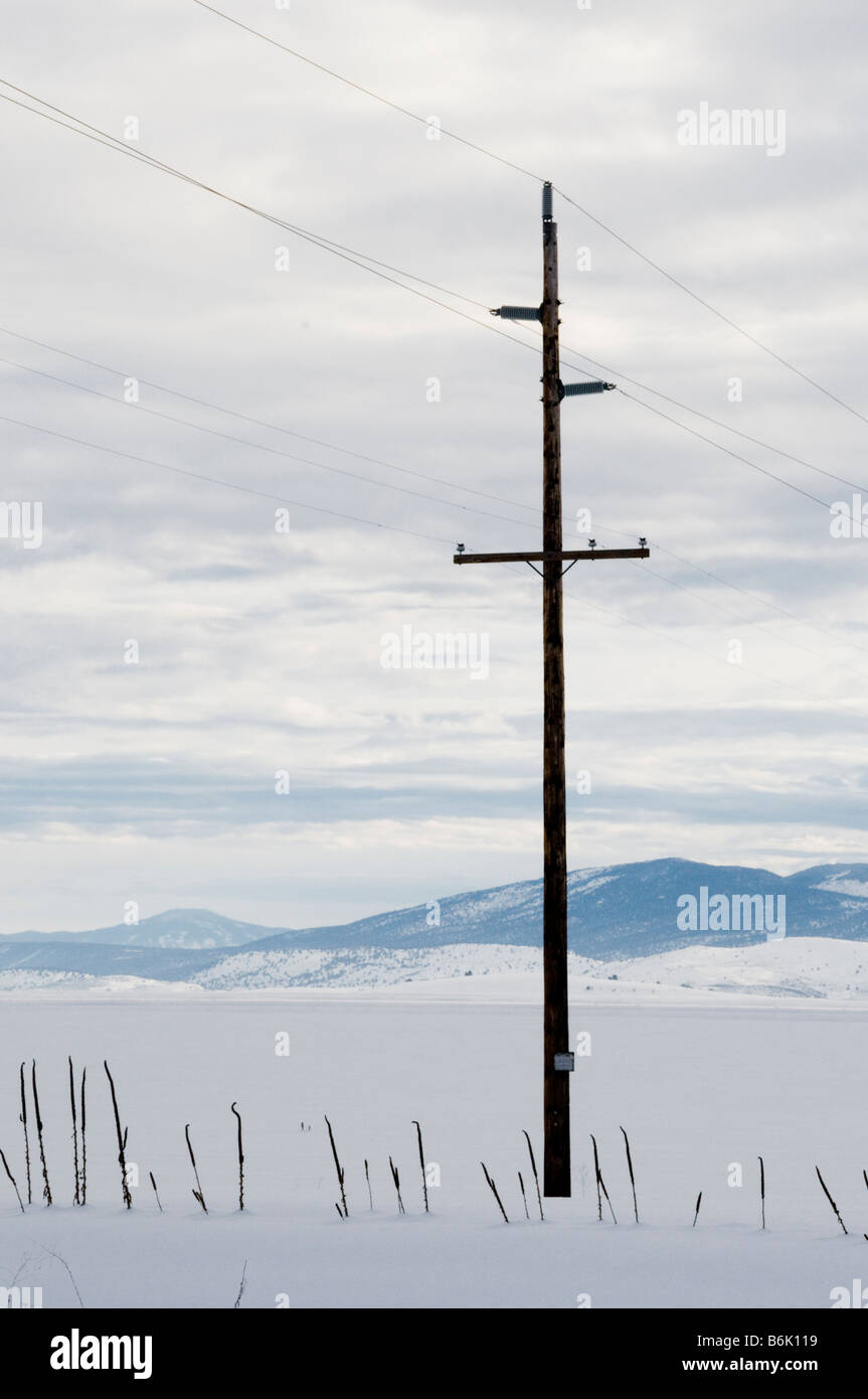 Telephone pole ice snow hi-res stock photography and images - Alamy