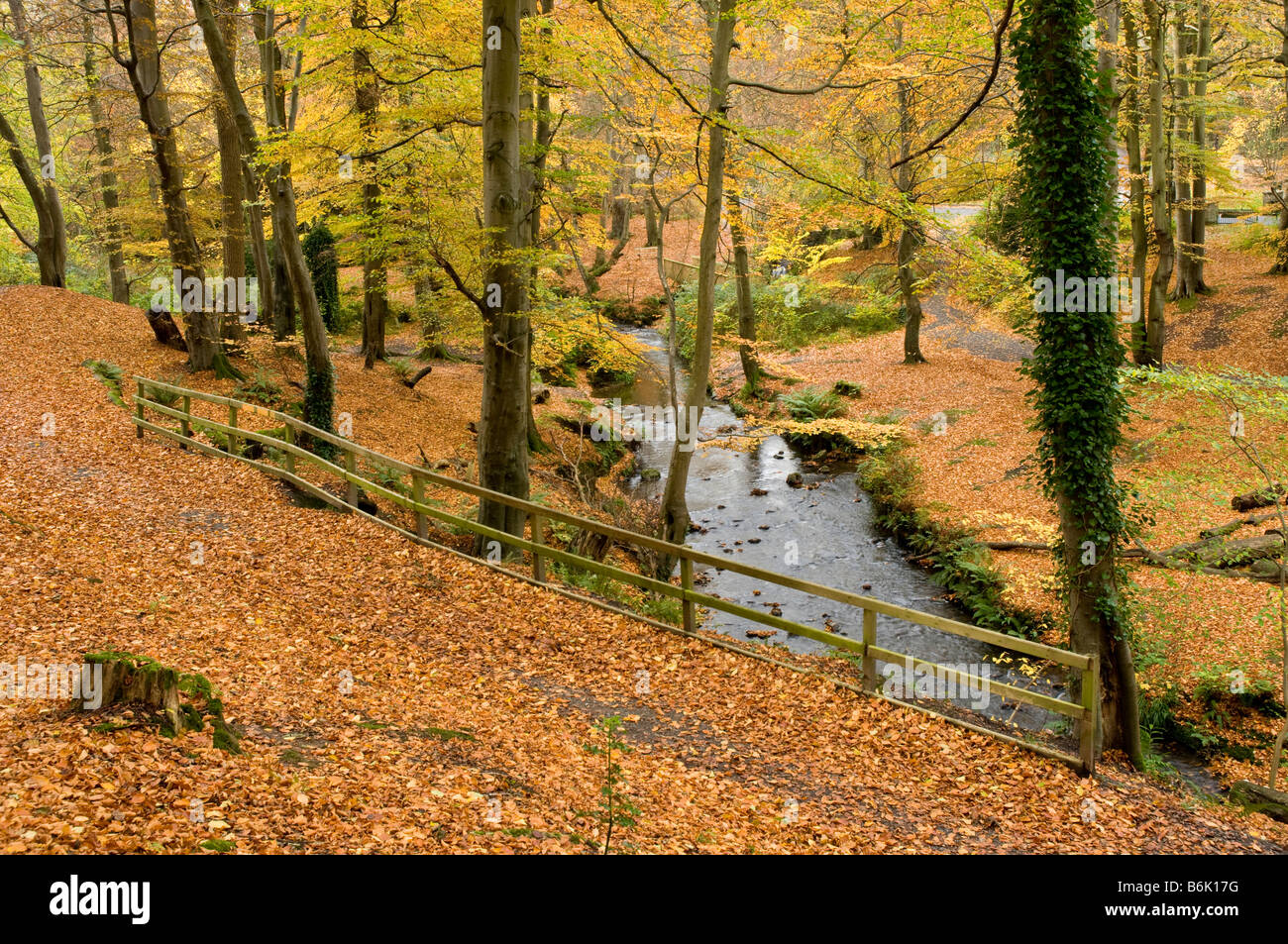 Autumn in Crawfordsburn Country Park Stock Photo - Alamy